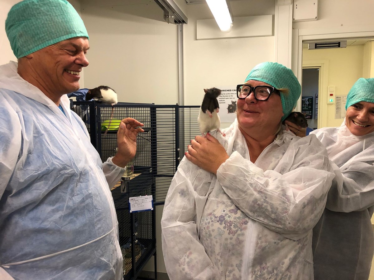 Dette ligner på håp